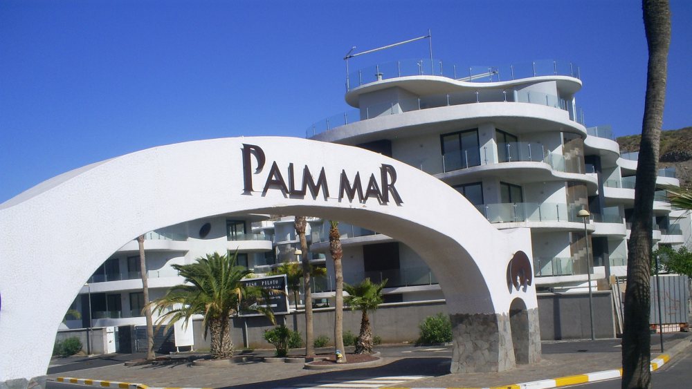 Business in Palm Mar | FRINA Tenerife | Your Business For Sale Agent