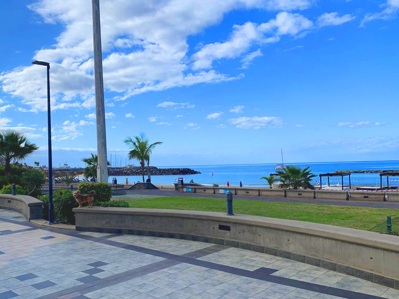FRINA Tenerife offers Busy Frontline Restaurant for Sale – 2336